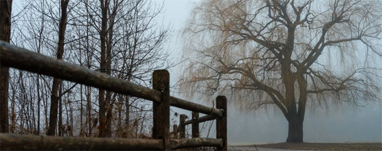 Halfway Down to Drawing Water by Jeff Burt; poem unrhymed